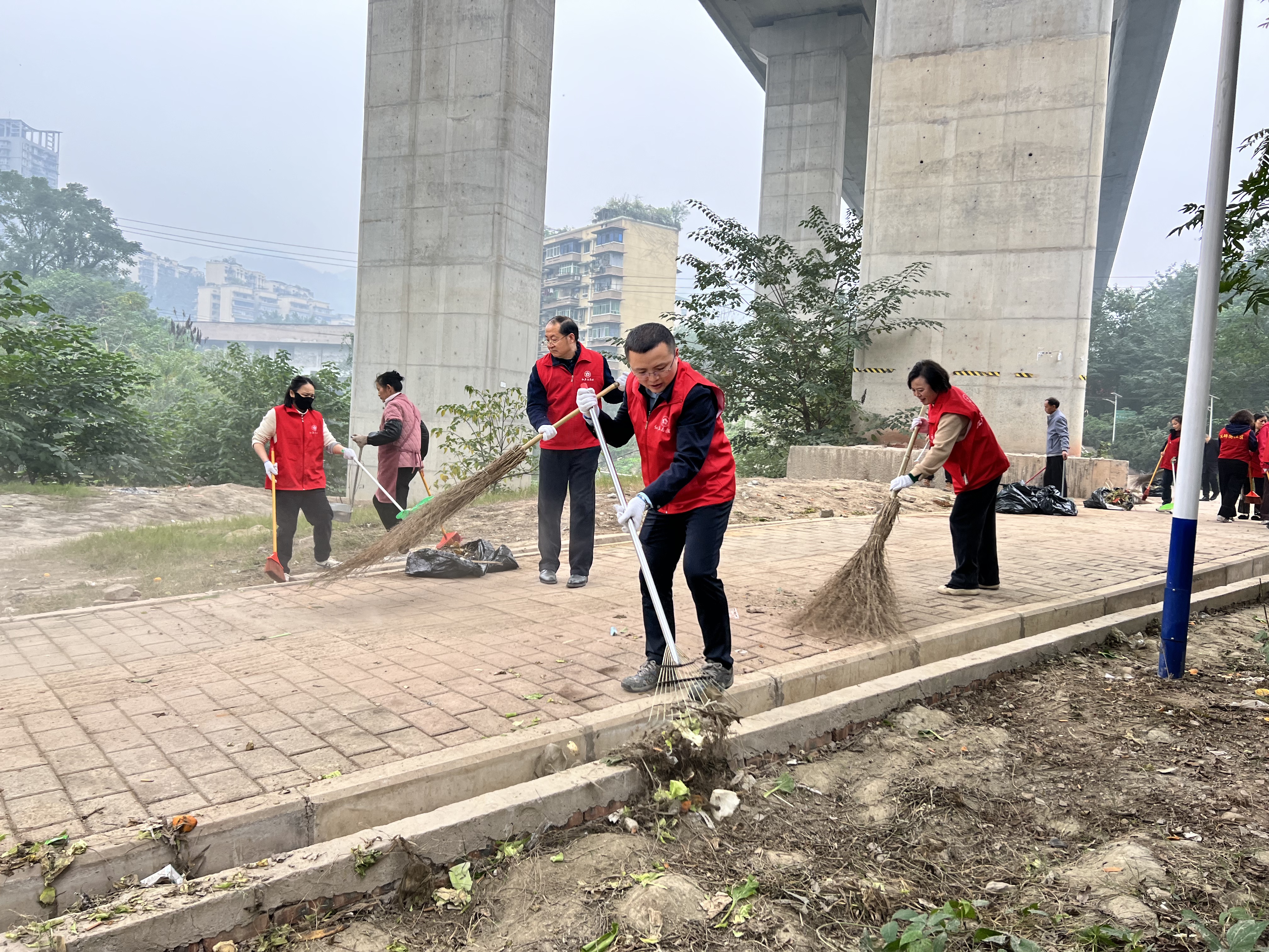 双碑街道 - 重庆市沙坪坝区人民政府